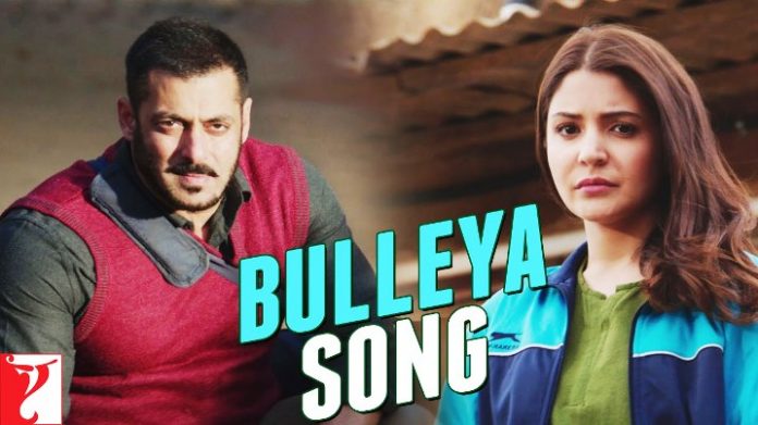 बुल्लेया Bulleya Hindi Lyrics - SULTAN | Papon