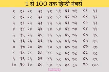 HINDI NUMBER COUNTING - हिंदी गिनती